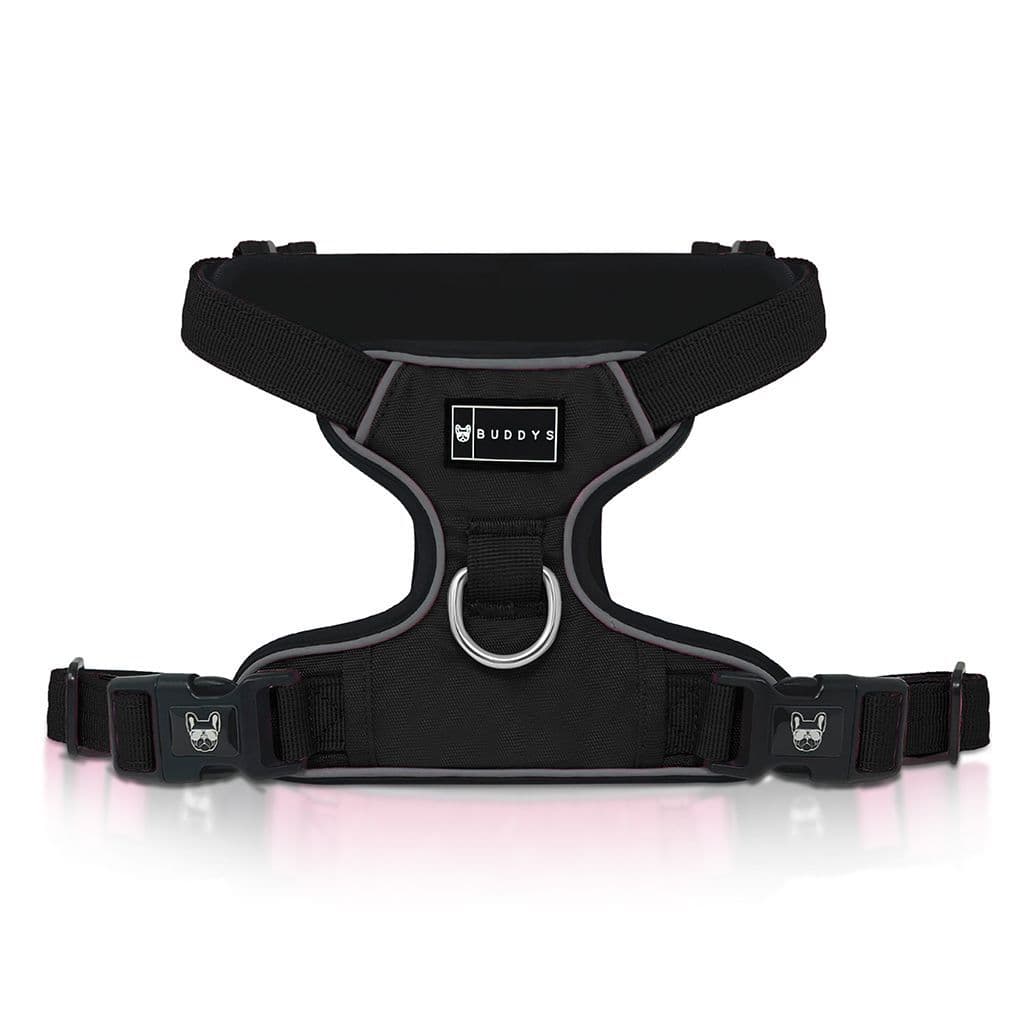 Harness and Leash – mayaselectronics.bz